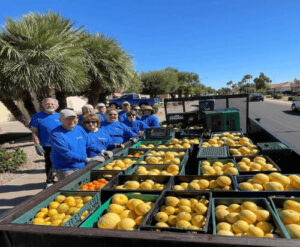 Citrus Gleaning Seasonal | St. Mary's Food Bank